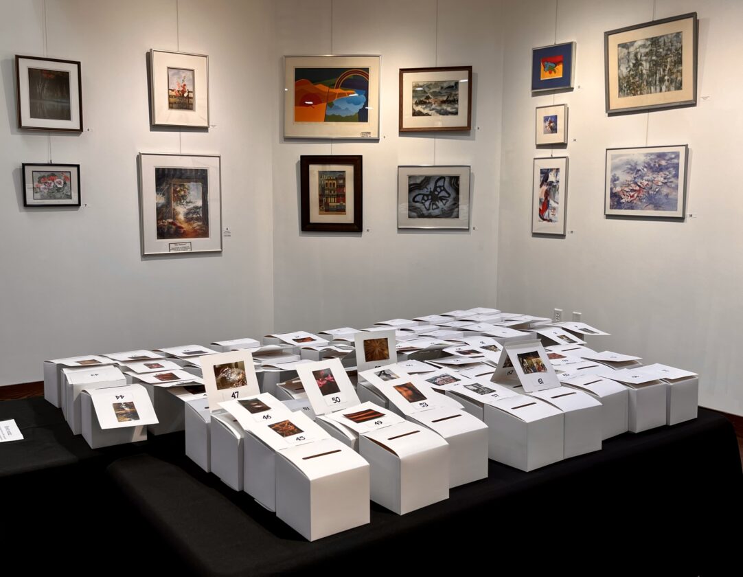 Art auction raises funds | News, Sports, Jobs - The Mining Journal